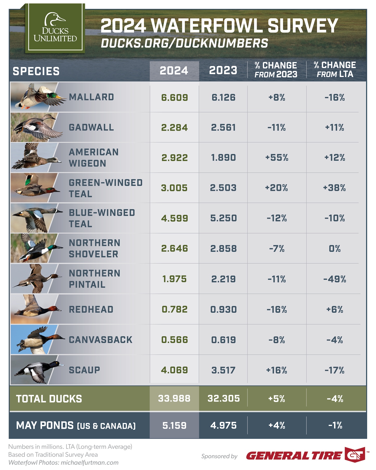 2024 Duck counts